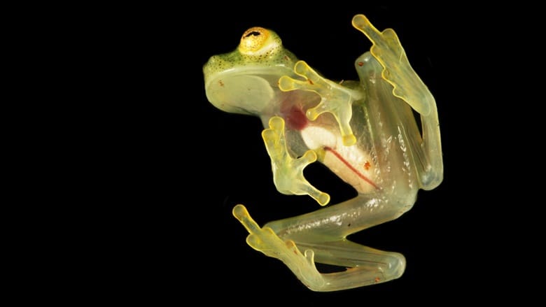 ESTP - my personality profile - Unifrog