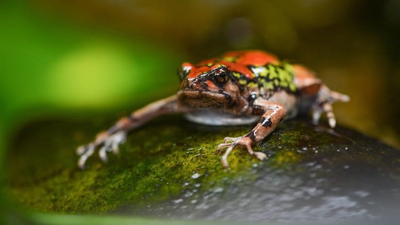 ISTJ - my personality profile - Unifrog