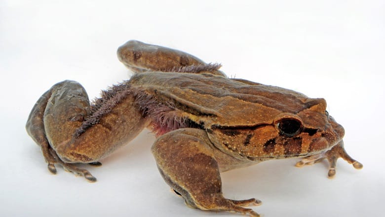 ESTP - my personality profile - Unifrog